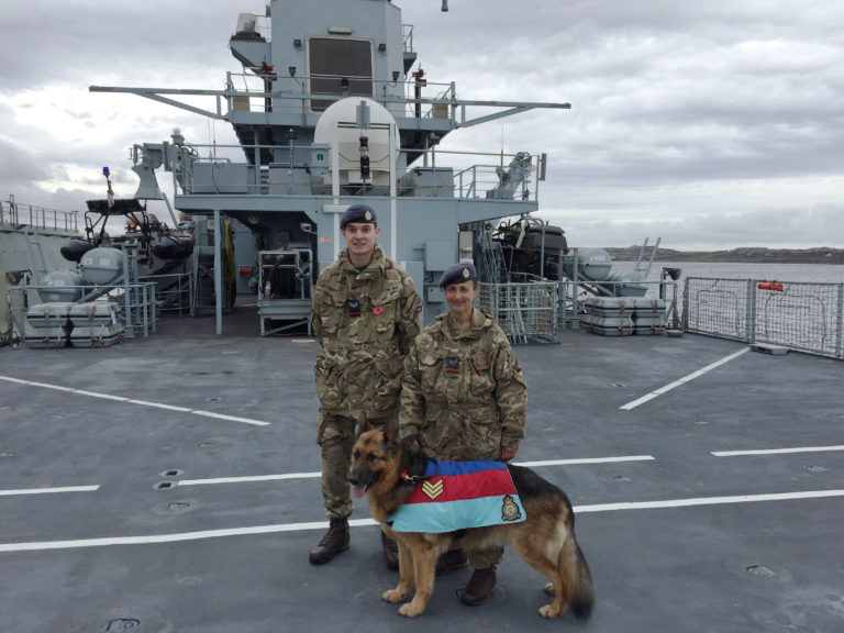 Life in the Falklands as an RAF Dog Handler: Cpl Sharon Chinn – Armed ...